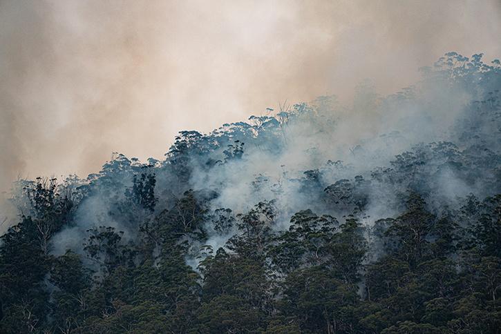 Bushfires, Droughts, And Heat Waves: Australia's Existential Challenges ...