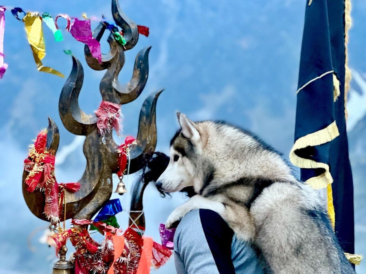 People Extend Support To Husky 'Nawab' And His Owner After Furore Over ...