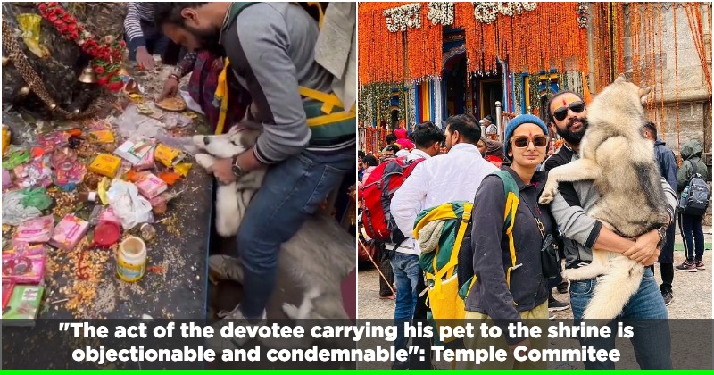 FIR Filed Against A Devotee For Taking His Dog To Kedarnath Shrine And ...
