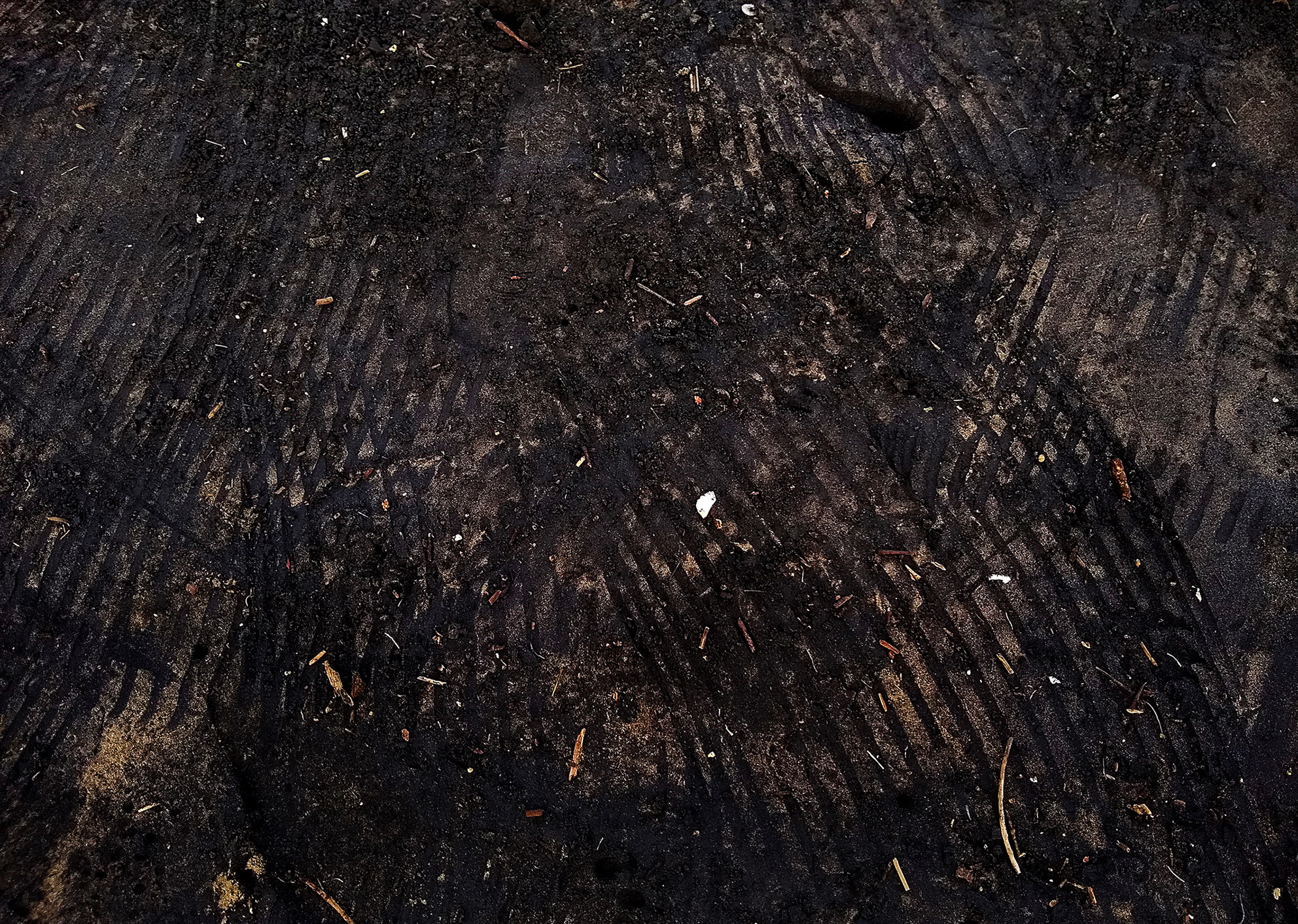 Tar Balls Wash Ashore On Goa's Beaches, Here Is Why It Is A Worry For ...