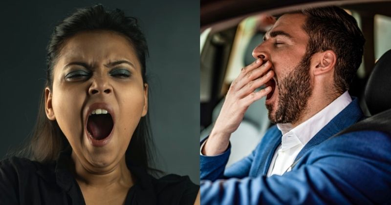 Humans Mastered Yawning To Warn Others That They Weren’t As Alert ...