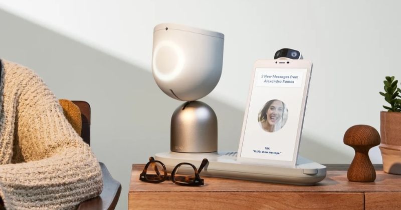 This Robot Companion For The Elderly Is Designed To Help Them Fight ...