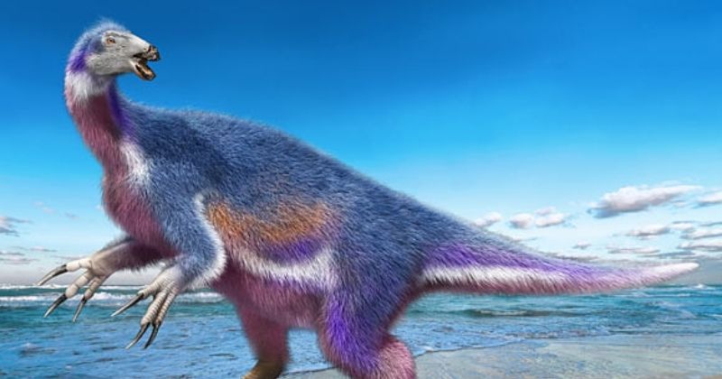 Vegan Dinosaur? Scientists Find New Fossils Of A Plant-Eating Dinosaur ...