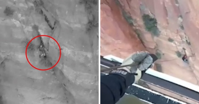 Man Clings Onto Cliff Face After Getting Injured During A Fall
