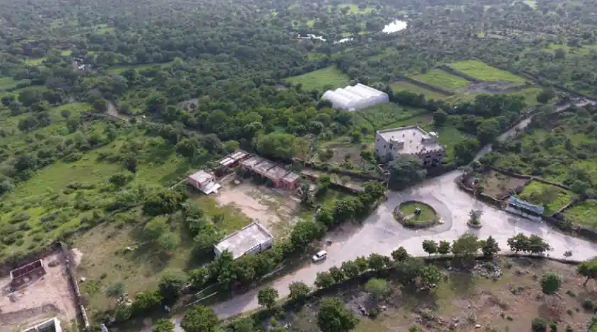 Smart Village Piplantri: यहां बेटियों के जन्म पर लगाए जाते हैं 111 पेड़ ...