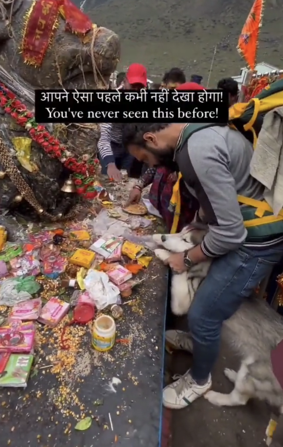 FIR Filed Against A Devotee For Taking His Dog To Kedarnath Shrine And ...