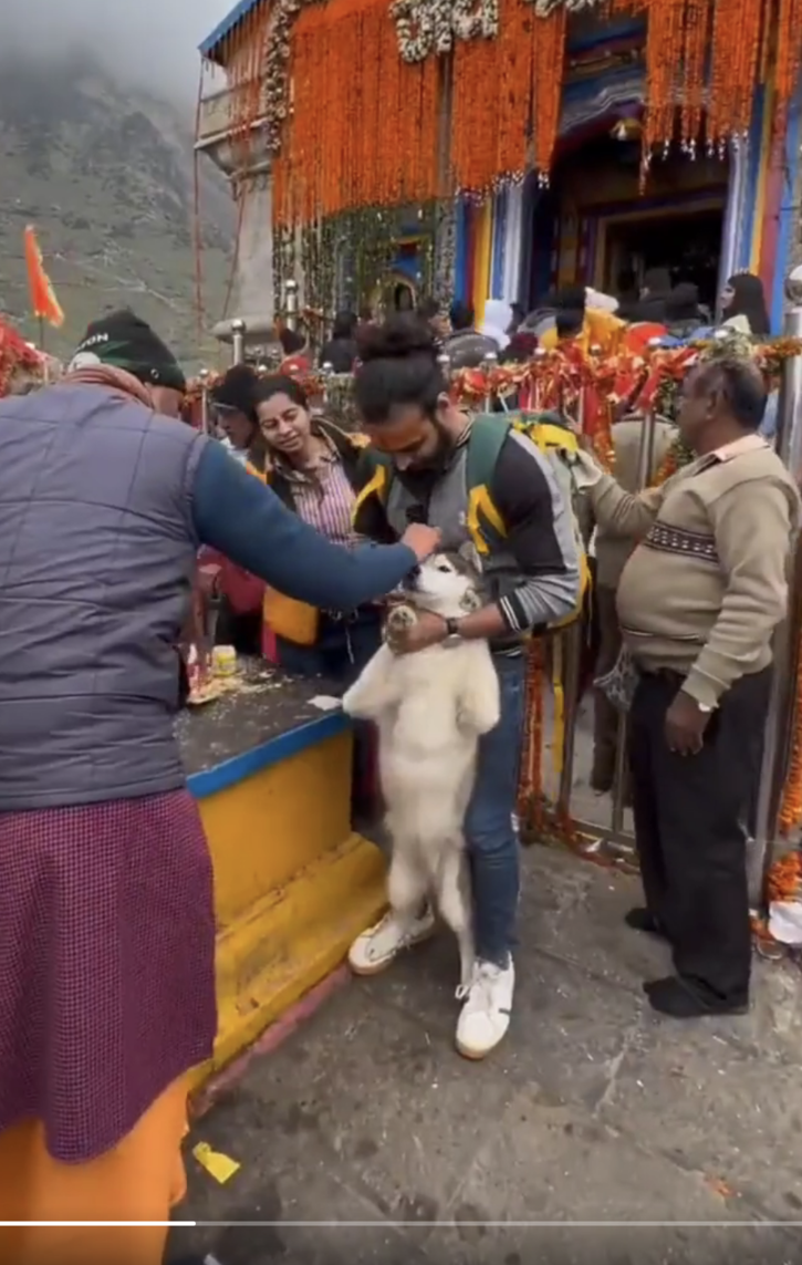 FIR Filed Against A Devotee For Taking His Dog To Kedarnath Shrine And ...