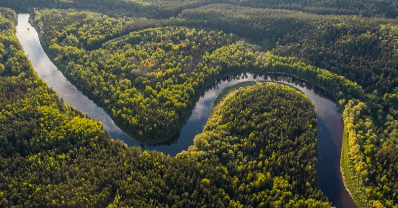 Why There Are No Bridges Over Amazon River