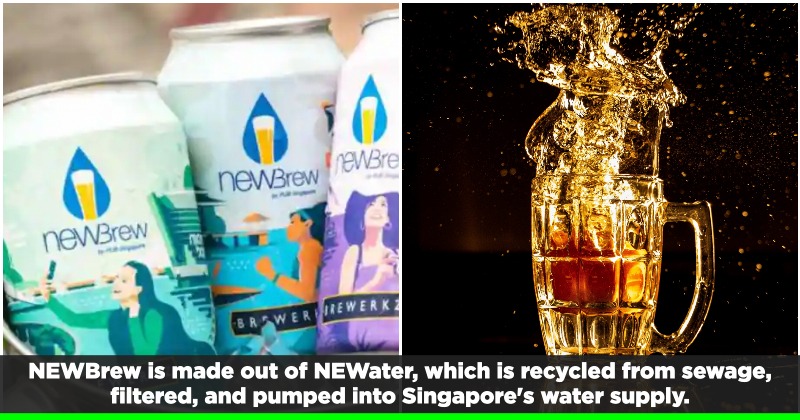 In A Bid To Conserve Water, A Singapore Brewery Is Recycling Urine And ...