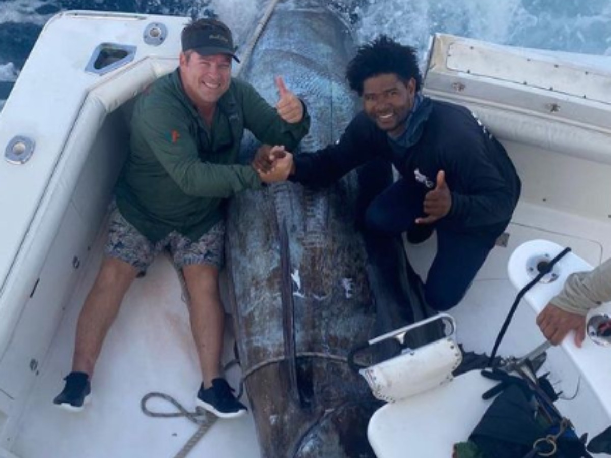 Fisherman Reel In Massive 12 Ft Blue Marlin