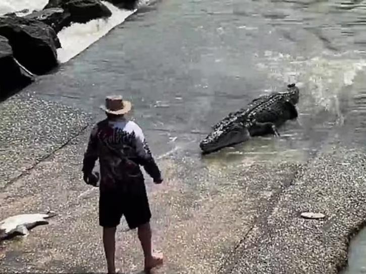 Fisherman Risks Life & Fights A Crocodile