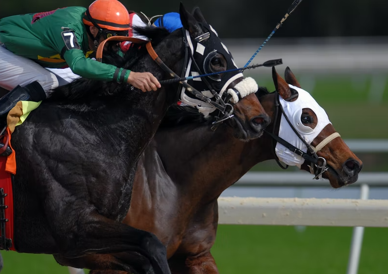 Story Of Frank Hayes Jockey Who Won Race Despite Being Dead