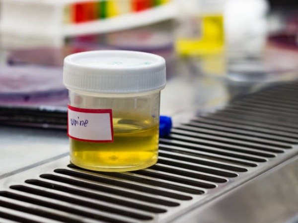 Human Pee Could Power Our Agriculture In A World Wrecked By Climate Change