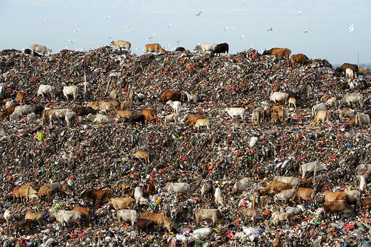 Explained: Why Delhi Fails To Deal With Its Overfilled Landfills