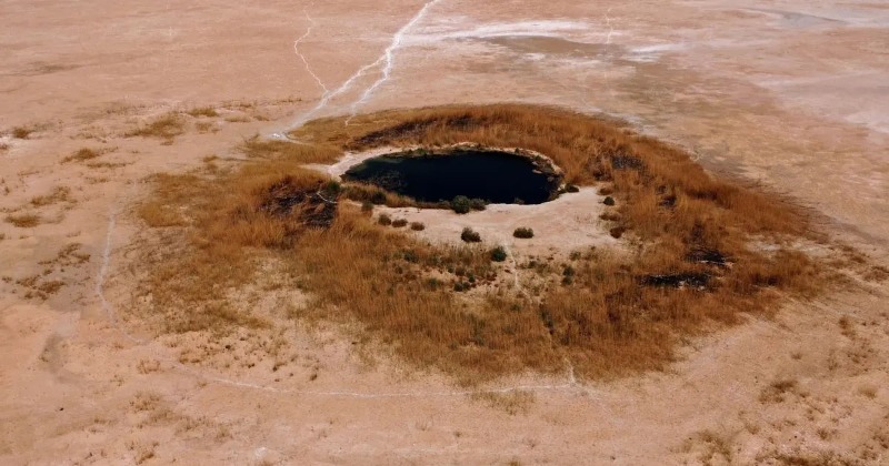 Explained: How Climate Change And Human Activities Gulped An Entire ...