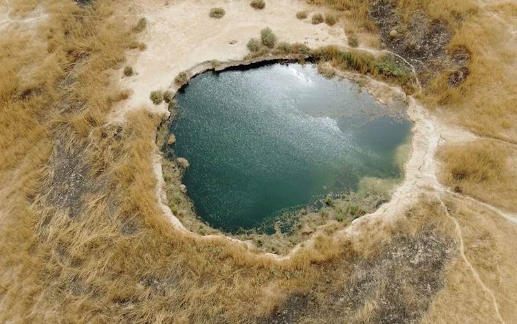 Explained: How Climate Change And Human Activities Gulped An Entire ...