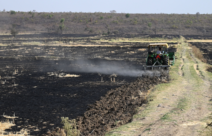 Explained: How Waste Decomposer Can Solve The Problem Of Stubble Burning
