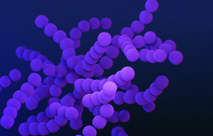 Explainer: What Is 'Viral Spillover Risk,' And How Can It Lead To New ...