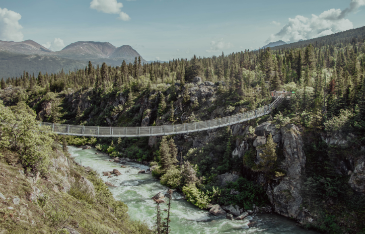 Explained: What Is A Suspension Bridge And What Keeps Them Strong