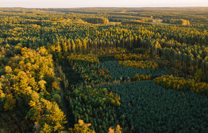 Explained: United Nations Environment Programme's (UNEP) Adaptation Gap ...