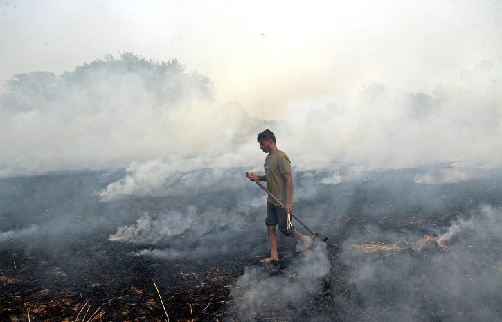 Explained: How Waste Decomposer Can Solve The Problem Of Stubble Burning