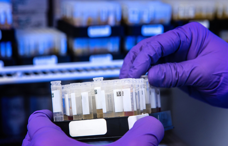 Explainer: What Is 'Viral Spillover Risk,' And How Can It Lead To New ...