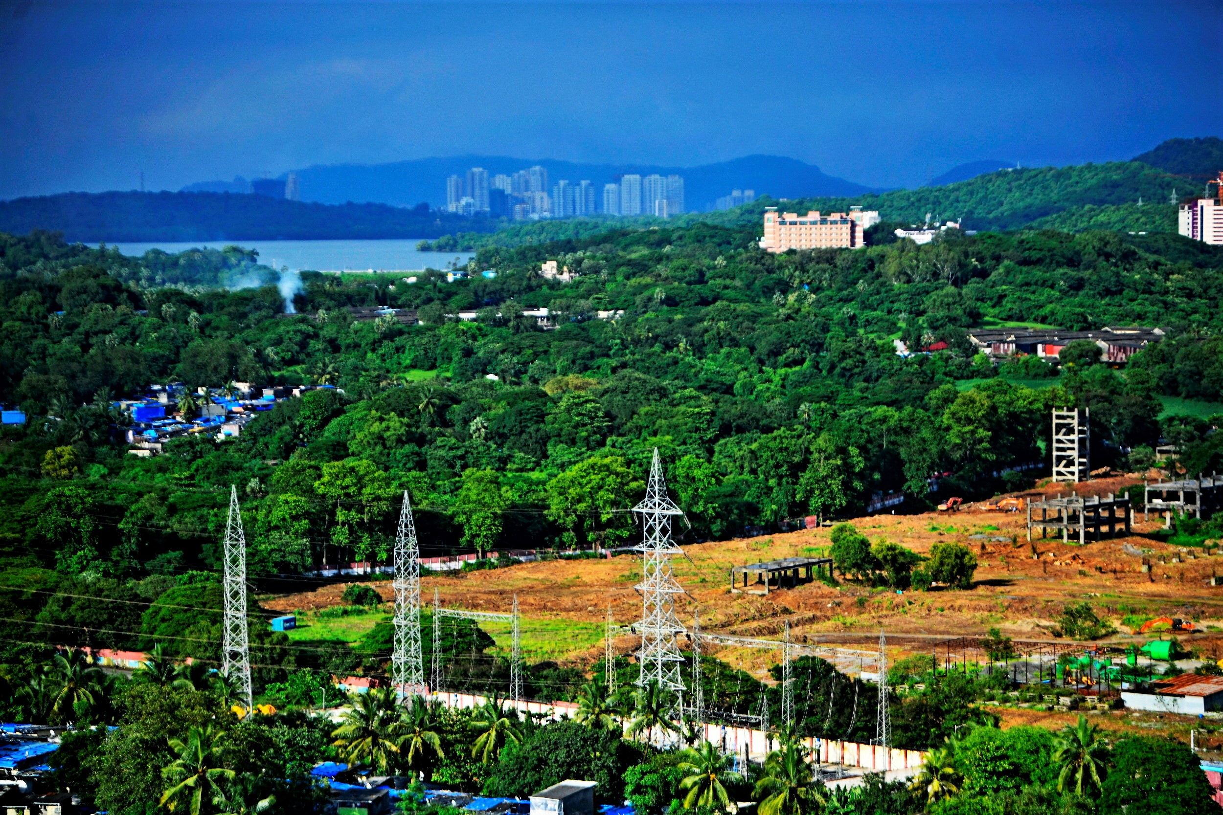 Mumbai's 'Urban Leopards' And The Growing Human-Animal Conflict: What ...