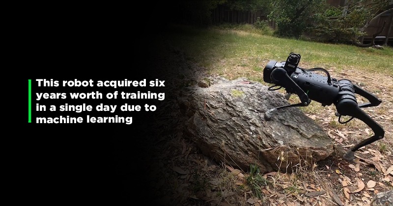 This Inexpensive Four-Legged Robot Can Take On Almost Any Obstacle