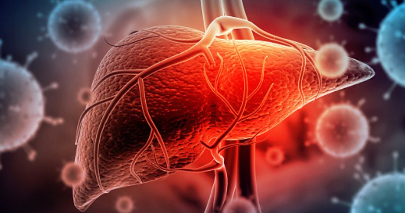 Paralysis-Causing Disease Leprosy Could Help Undo Ageing, Regrow Organs ...