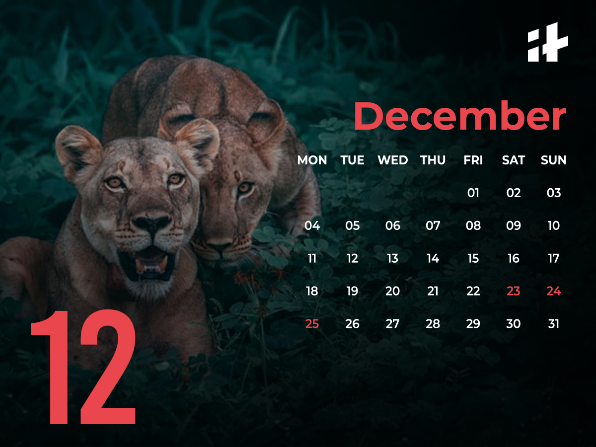 List Of Long Weekends In 2023 in India