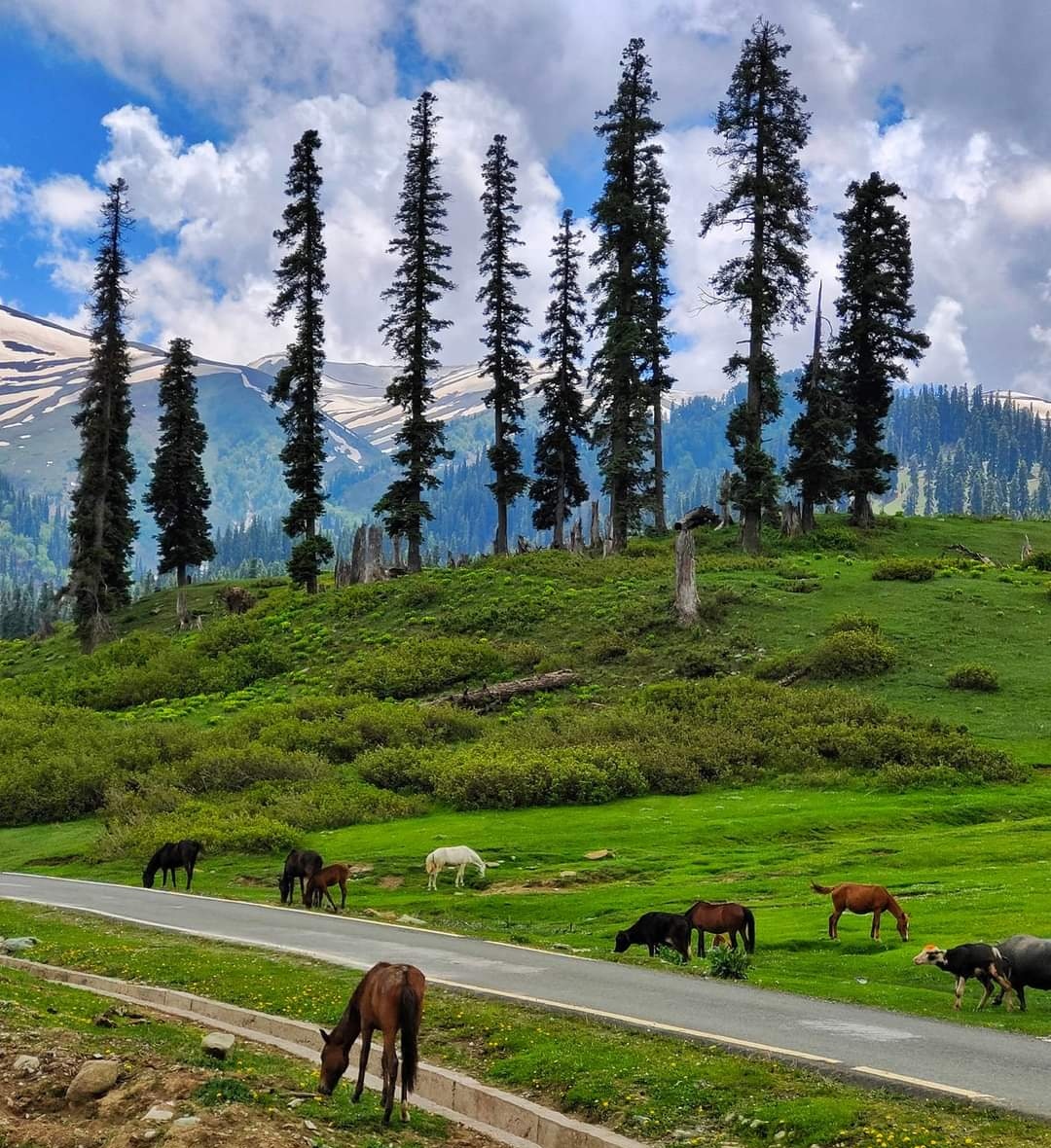 Six Hidden Tourist Destinations Of Kashmir Are Now Being Explored