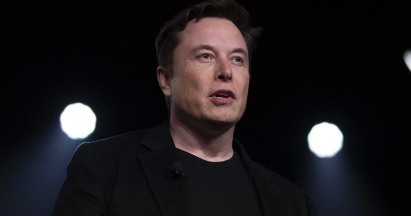 Elon Musk Urges Independents To Vote For A Republican Congress Ahead Of ...