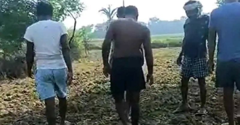 Bihar Goons Steal 2Km Road, Sow Wheat Crops To Hide Theft