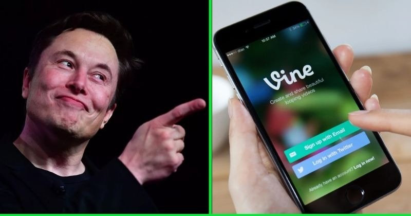After Twitter Takeover, Elon Musk Now Wants To Bring Back Vine