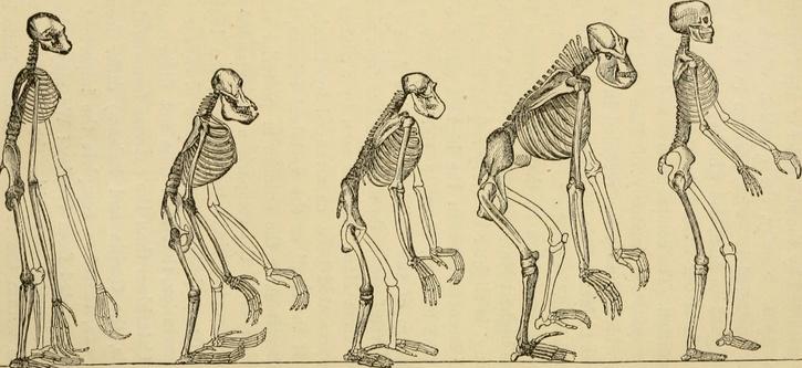 Baby Girl Born With Tail Gets The Body Part Removed