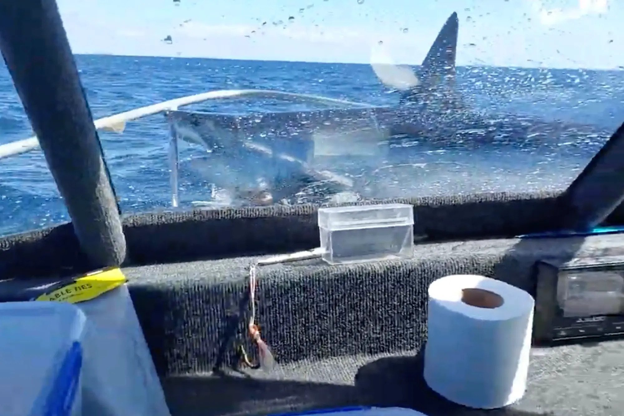 Giant Shark Jumps Onto Fishing Boat