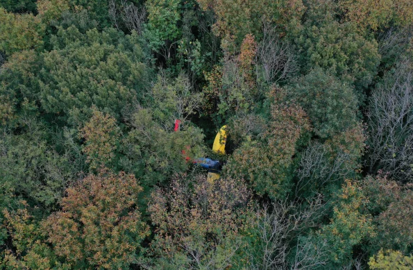 Pilot And Passengers Stuck In Trees After Plane Crash