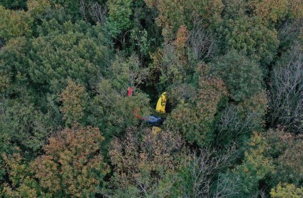 Pilot And Passengers Stuck In Trees After Plane Crash