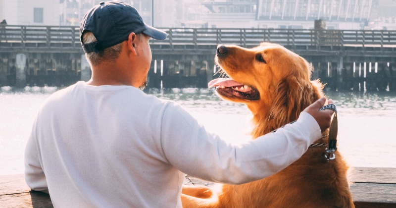 Could Artificial Intelligence Help Humans Talk To Their Pet Animals?