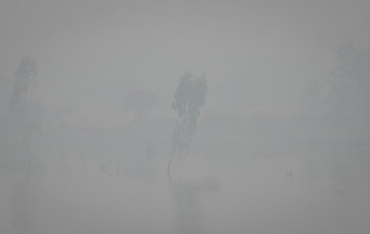 Explained: Why Katihar Is Being Called The Most Polluted Indian City