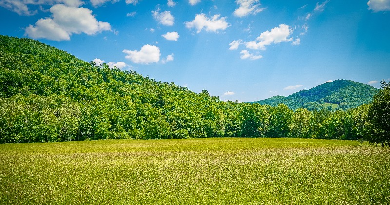 Explained: United Nations Environment Programme's (UNEP) Adaptation Gap ...