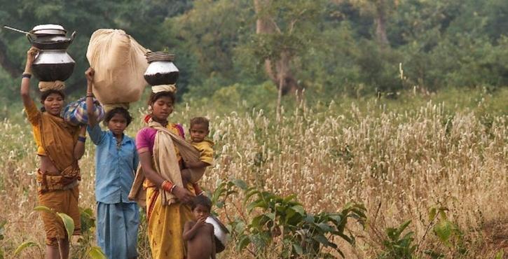 Explained: What Is Mahua And Why It Is A Significant Part Of The Tribal ...