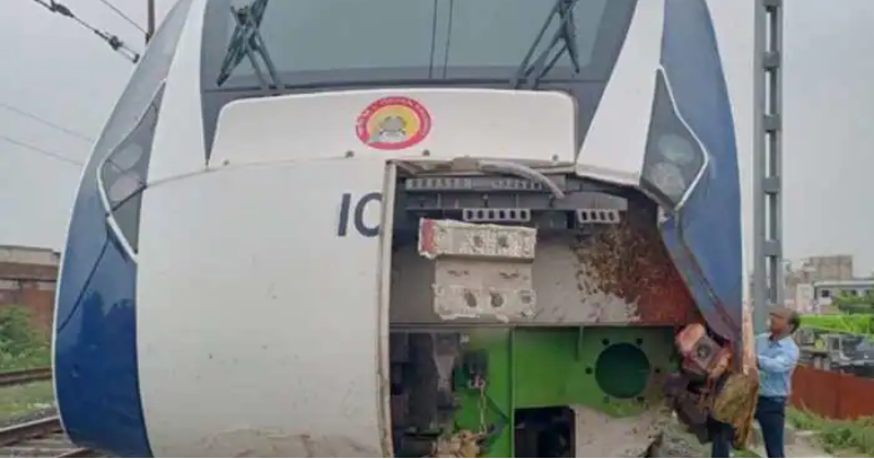 After Colliding With Buffaloes, Vande Bharat Express Hits Cow
