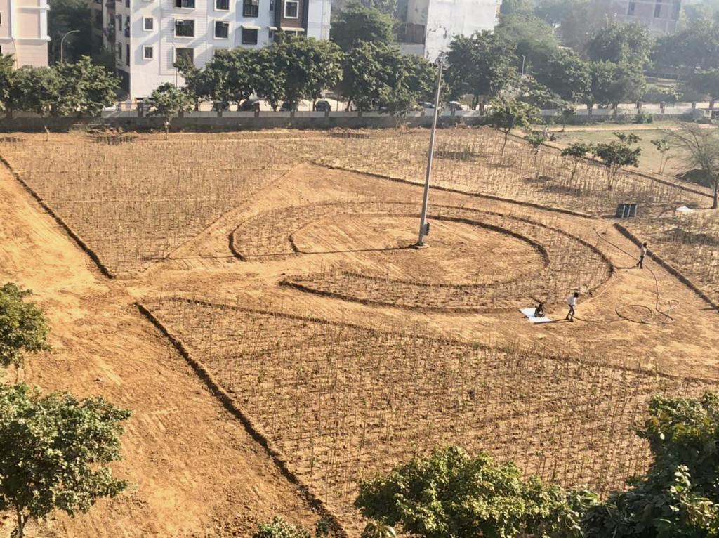 How These Dumping Yards And Open Spaces Turned Into Urban Forests And ...