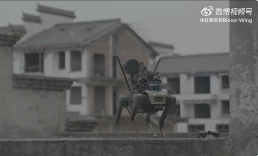 Armed Robot Dog Paired With A Drone In Viral Clip From China