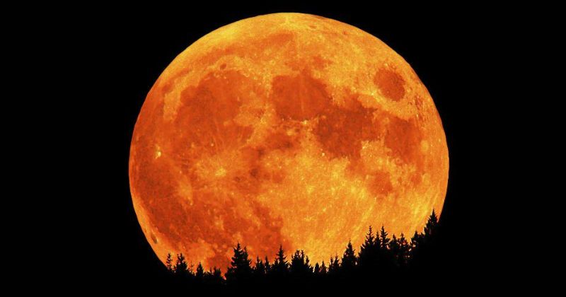 Pumpkin Orange Hunter’s Full Moon Of October 2022: All You Need To Know