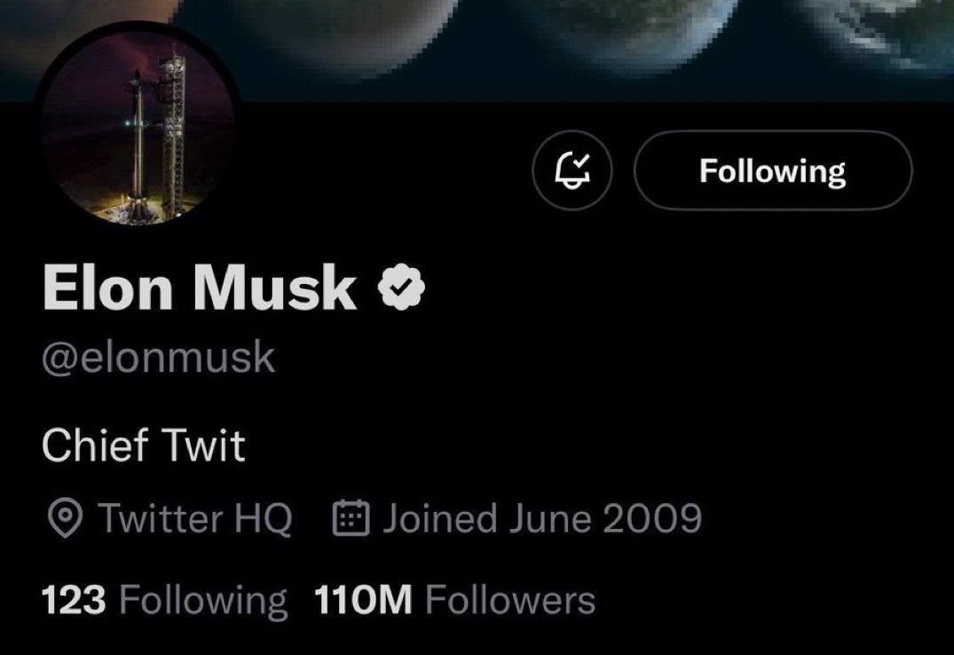 The Bird Is Free: Why Elon Musk Fired Twitter's Top Executives Soon ...