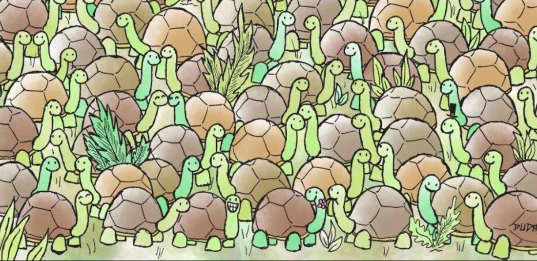 Can You Solve This Brain Teaser?