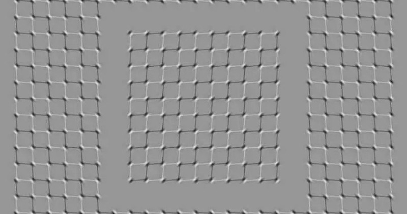 Optical Illusion: Are The Grey Squares Moving?