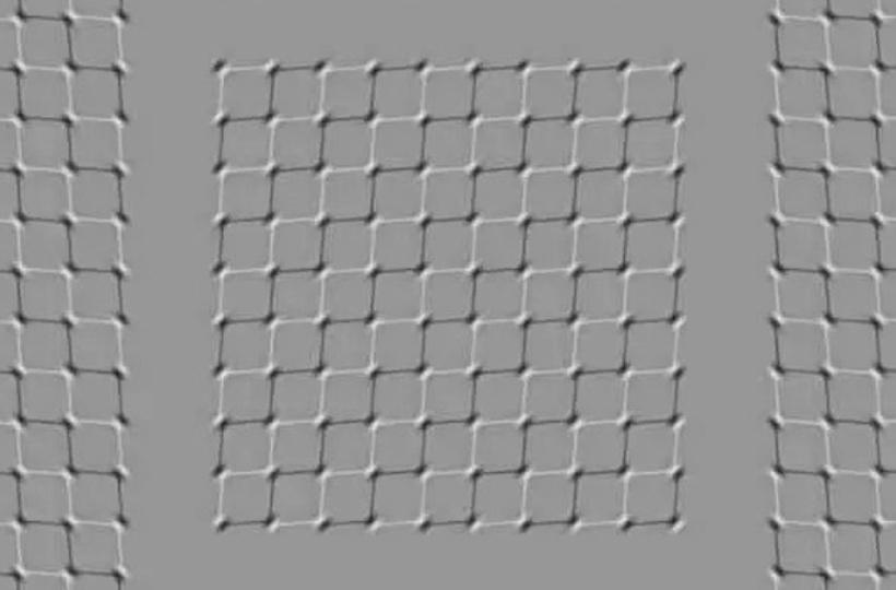 Optical Illusions Black And White Squares
